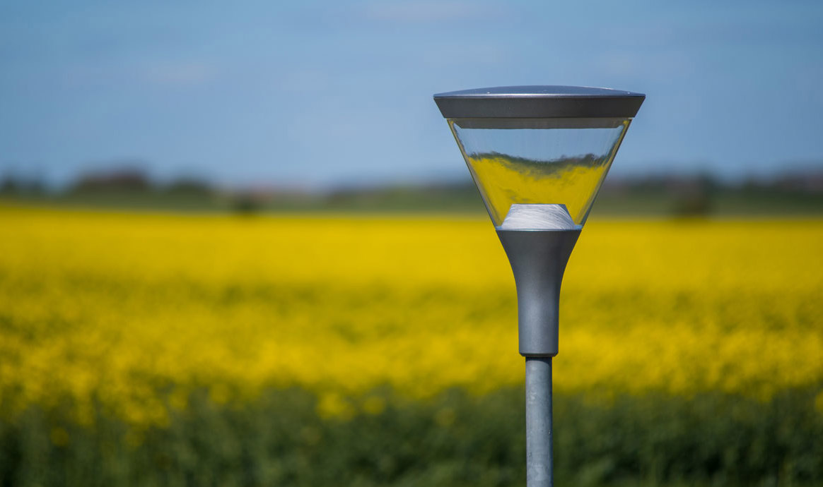 Focus-Lighting - FOCUS PARK